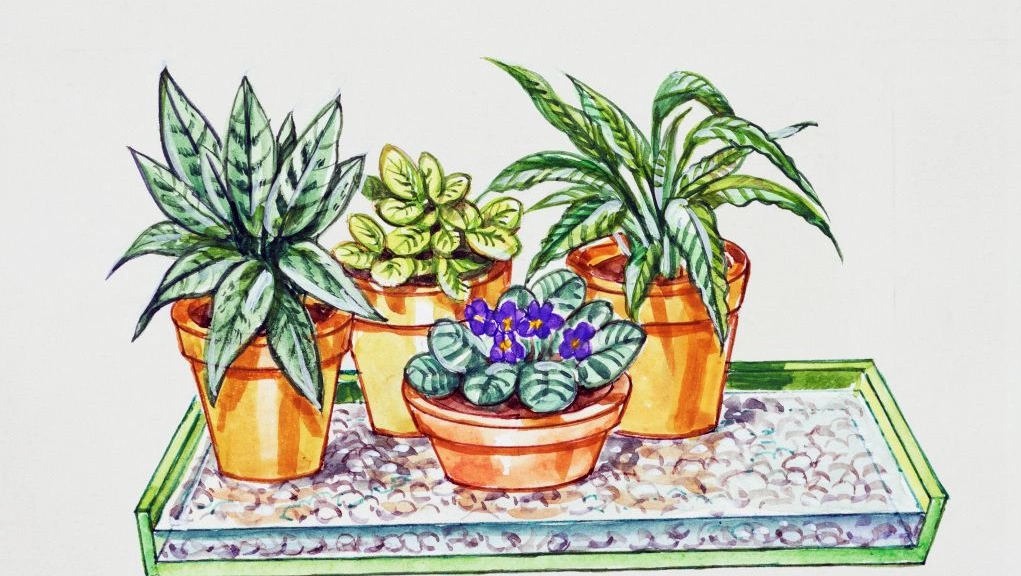 ZZ plant care made simple for happy leaves