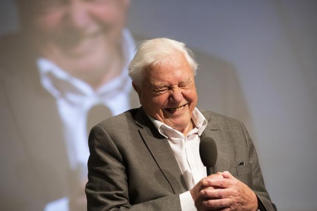 Sir David Attenborough not slowing down at 100 as energy remains strong ...