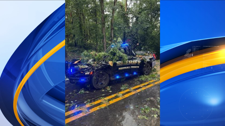 Marshall County deputy expected to be OK, K-9 unhurt after trees hit ...