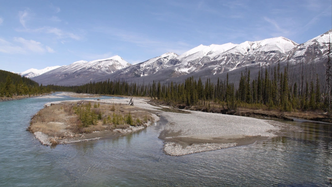 String of close bear encounters sparks safety reminders