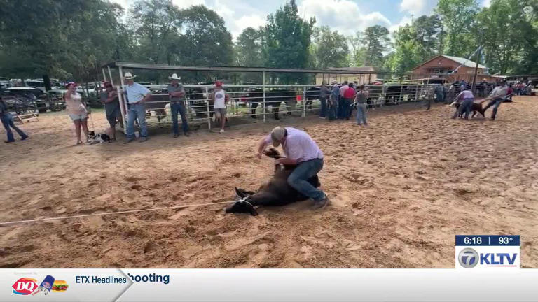 Mount Pleasant pro roper visits as instructor during Josey’s 60th ...