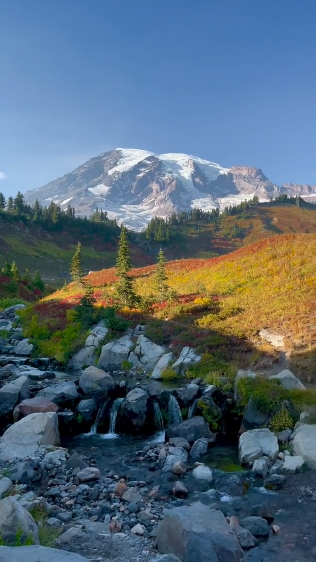 Fall evening escape at Mount Rainier