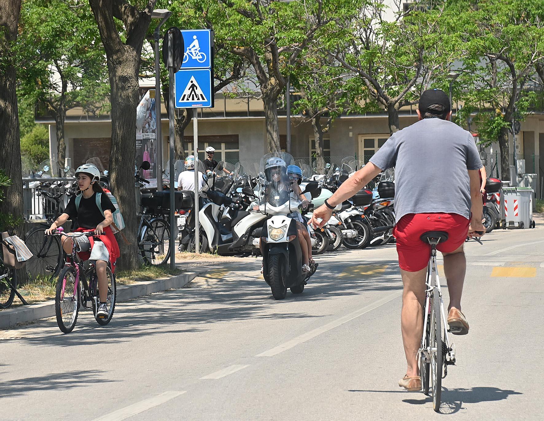 Filiera della bici, sessanta imprese. E la rete ciclabile entra nella ...