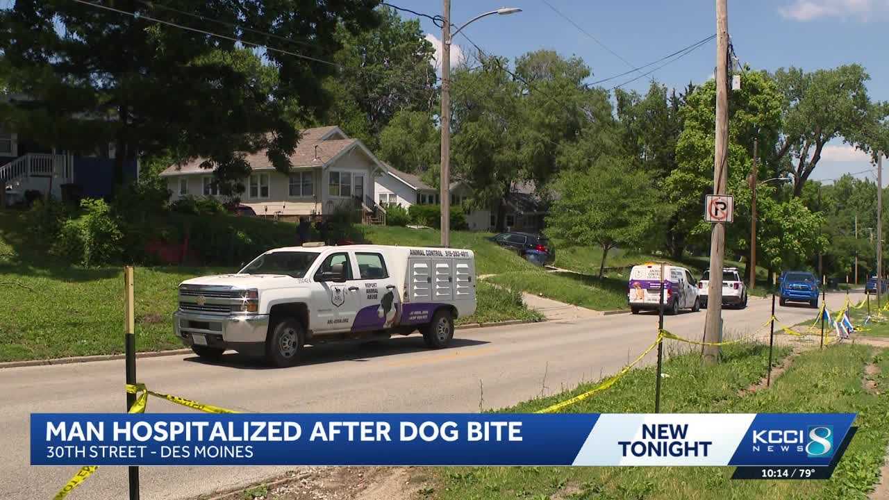 Des Moines man hospitalized after dog attack