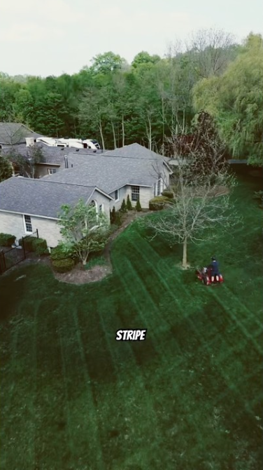 Perfect lawn stripes that hit different, classic satisfying mowing