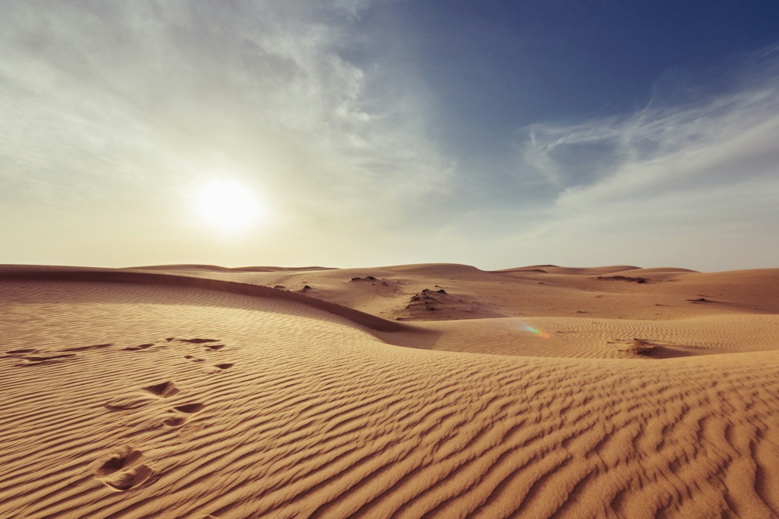 8 desert travel tips to keep you safe in extreme conditions