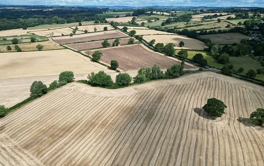 Experts warn UK risks food crisis amid climate and supply threats