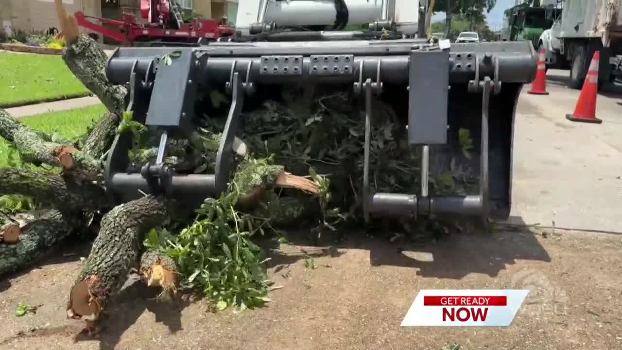 How to prepare trees on your property for hurricane season