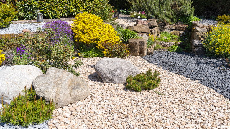 Dependable ground covers for a drought-tolerant rock garden