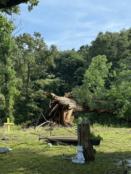 Photos: Storms damage trees, church in northeast Georgia
