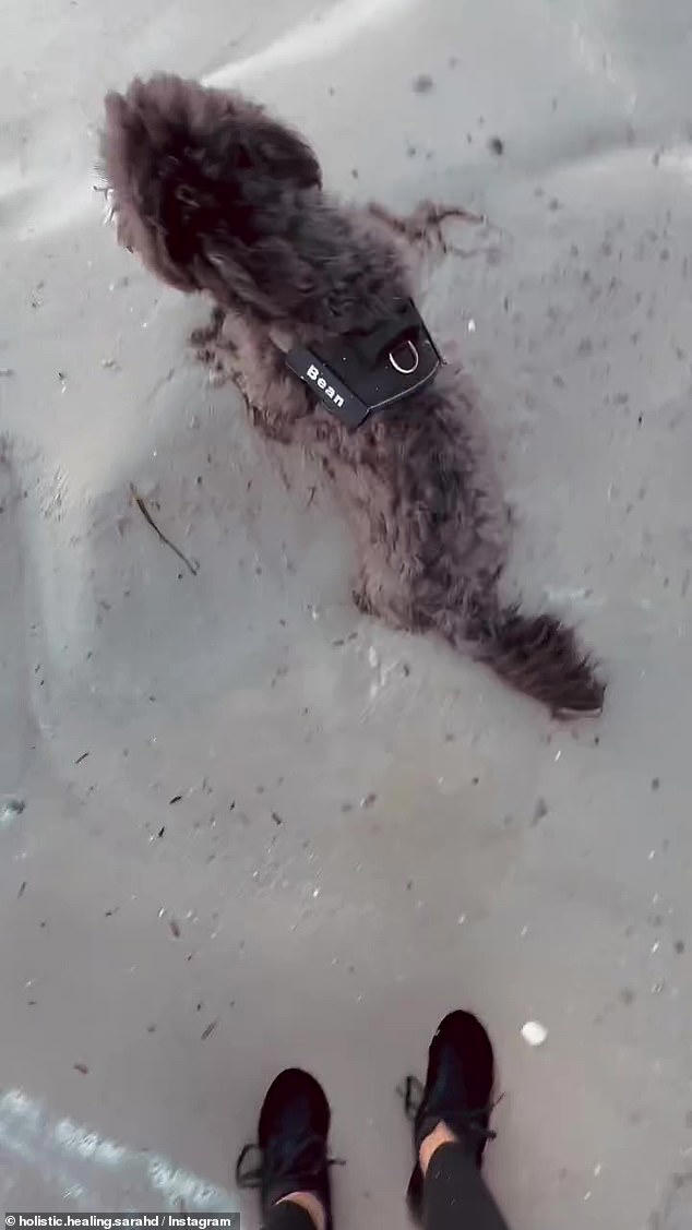 Urgent warning after two women became trapped in waist-deep quicksand ...