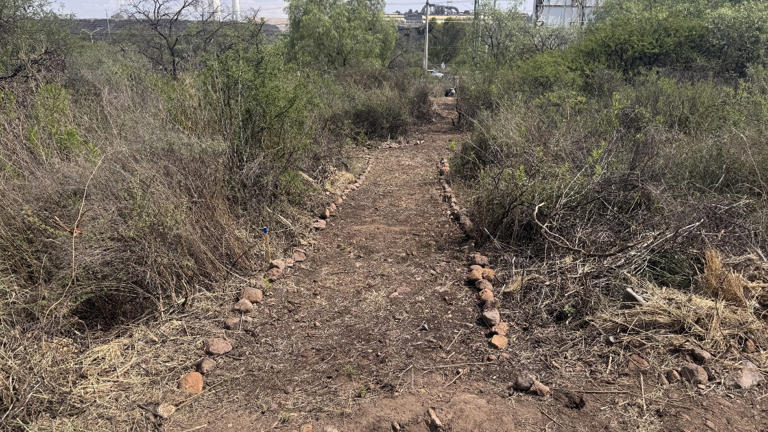De basurero a santuario ecológico: buscan crear el primer Bosque ...