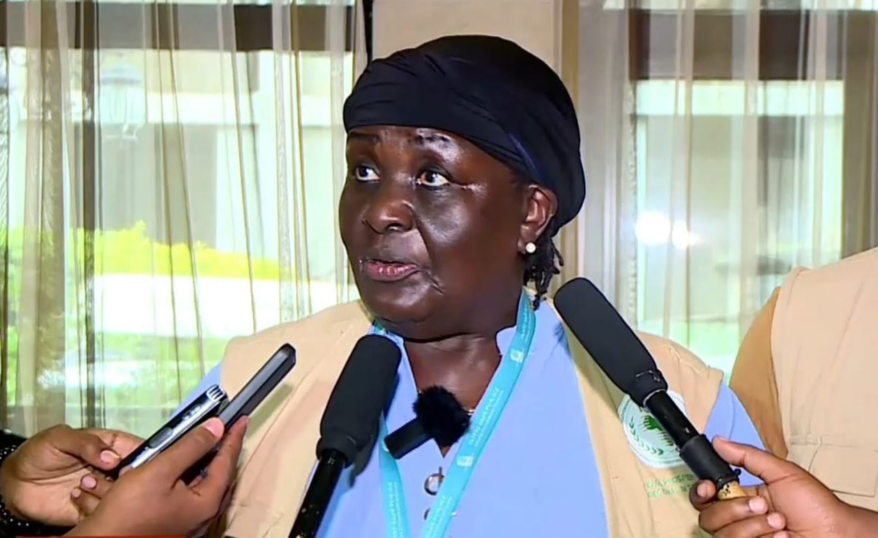 No electoral irregularities observed, says IGAD election observation ...
