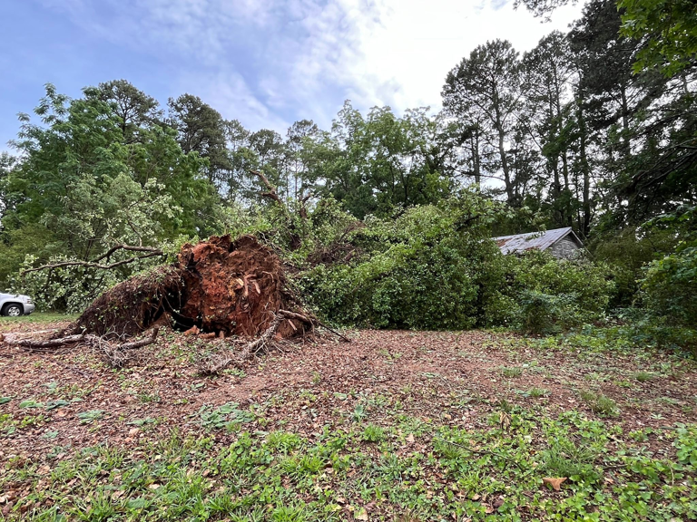 Photos: Storms damage trees, church in northeast Georgia
