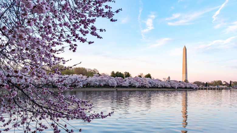 9 secret spots in Washington DC tourists often miss