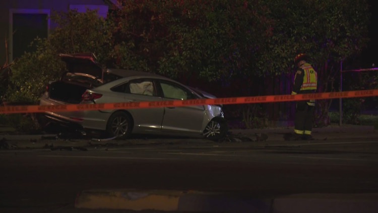 Police say stolen Hyundai driven by teen killed two people in Elk Grove ...