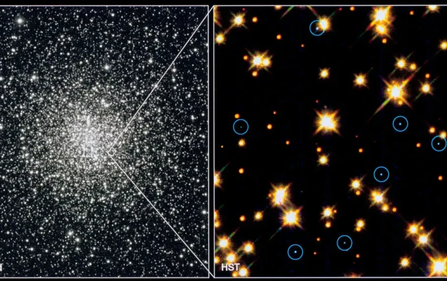 White dwarf binary confirmed as source of rare space signals