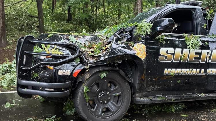 Tree falls on Marshall County patrol car, injures deputy