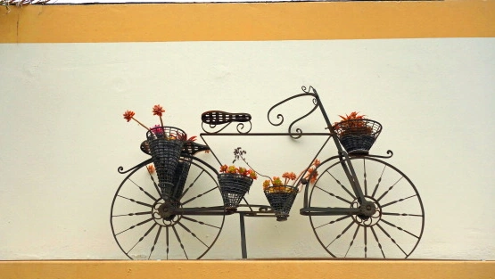 23 creative and unusual planter ideas