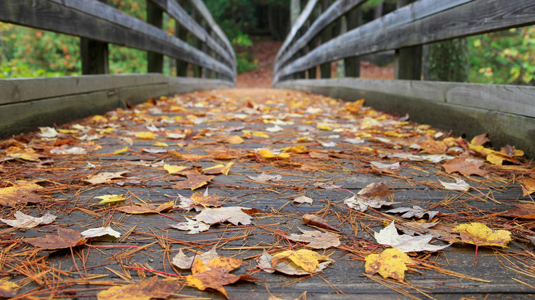 Tucked near the Michigan border is a cozy Wisconsin town with ...