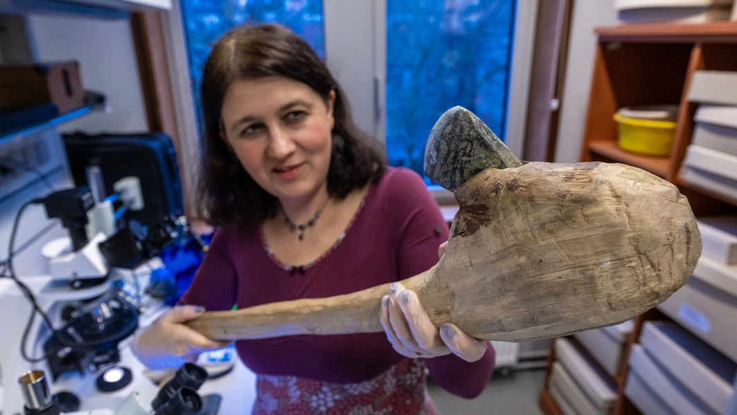 Mesolithic antlers as tools and ritual objects