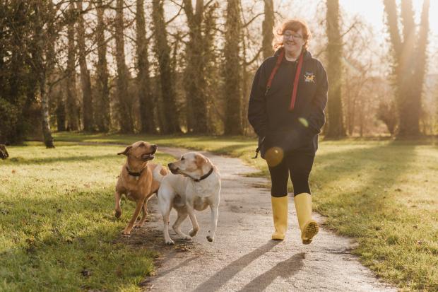 The truth about dog walking from leading expert