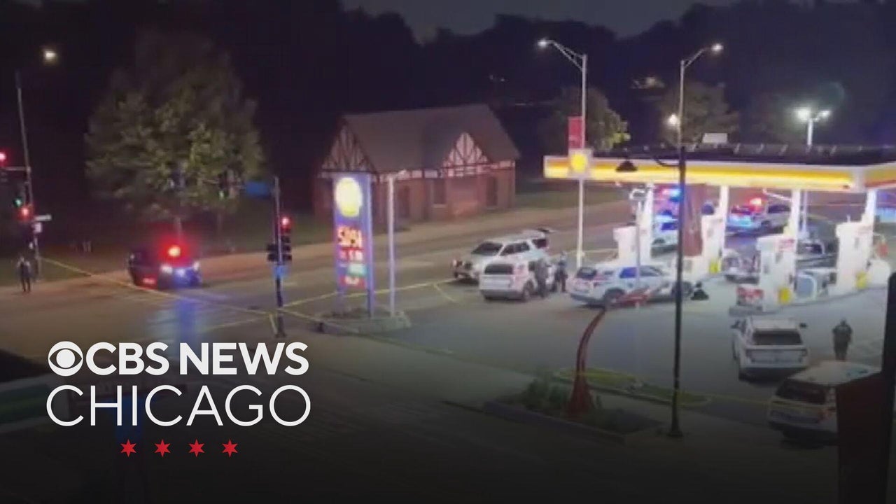 Driver killed in Oak Park police shooting after struggle with gun ...