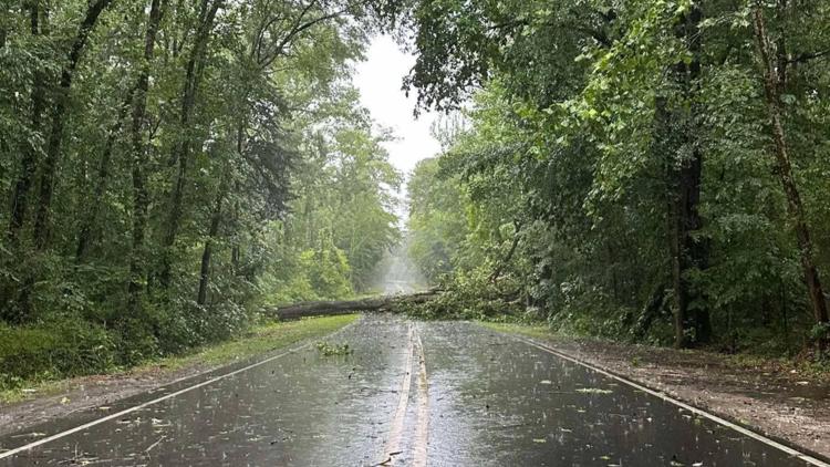 Strong winds down trees, power lines in Morgan County