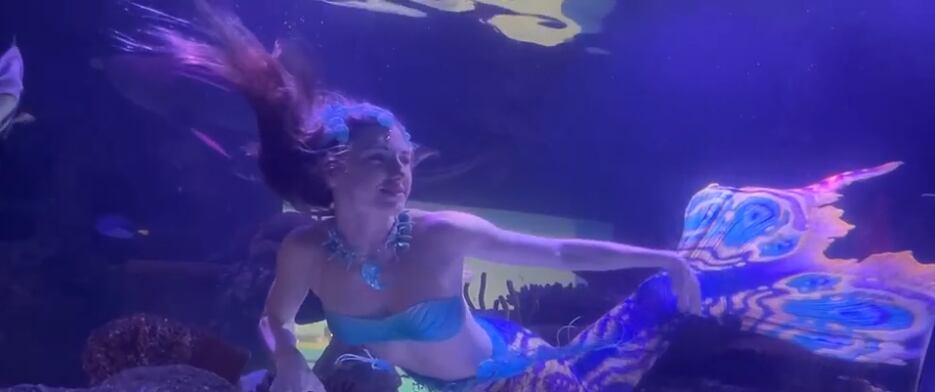 Mermaids make a splash at Shreveport Aquarium this summer