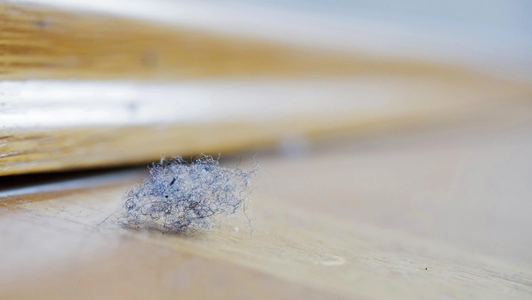 Breathe easier with these dust-busting secrets