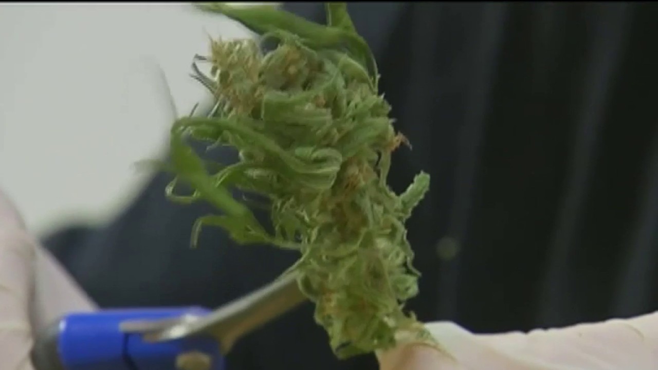 Lawsuit compares cannabis industry to big tobacco, targets 3 Chicago ...