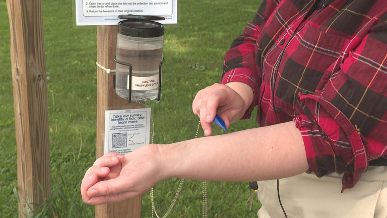 Dane County launches tick check stations as urgent care visits spike