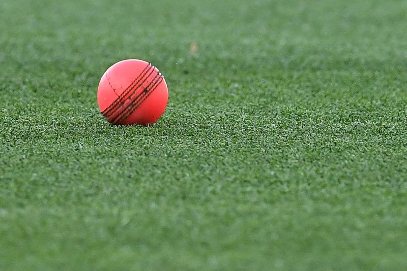 Cricket-pink balls to be trialled in day tests to maximise playing time