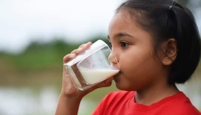 Best time to drink milk: Morning or night? Experts explain
