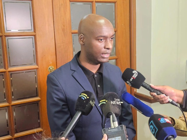 Calls grow for Speaker Thoko Didiza to recuse herself from impeachment ...