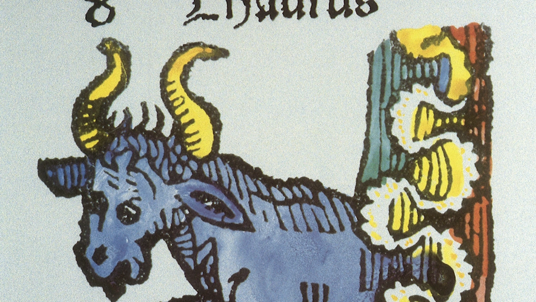 Taurus forecast highlights romance, teamwork and financial insights