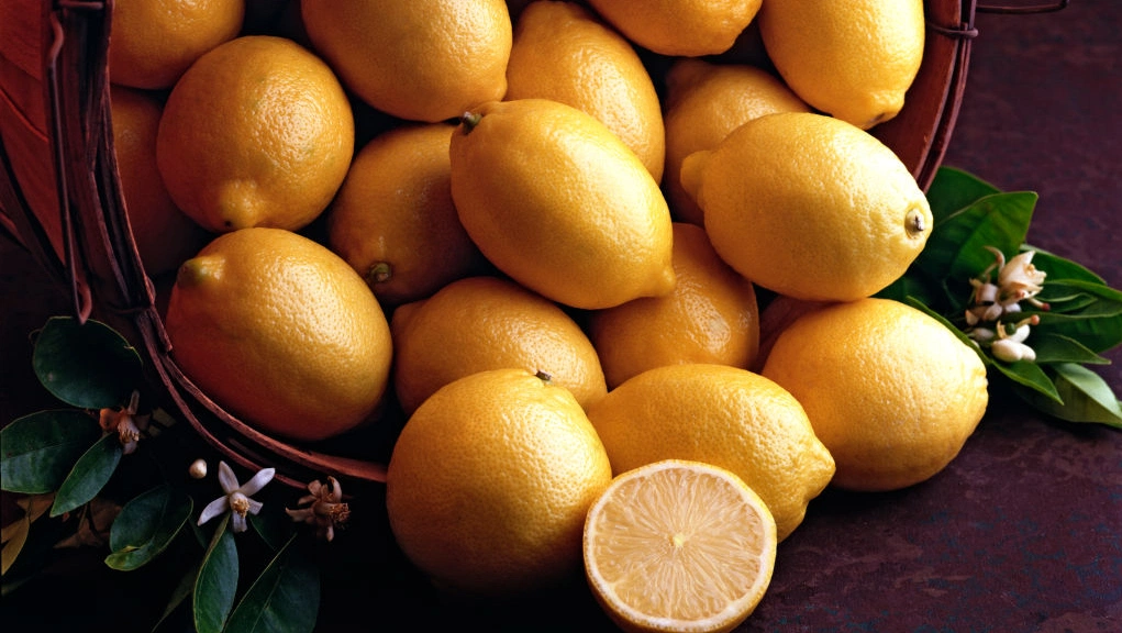 Brighten your plate with lemon magic