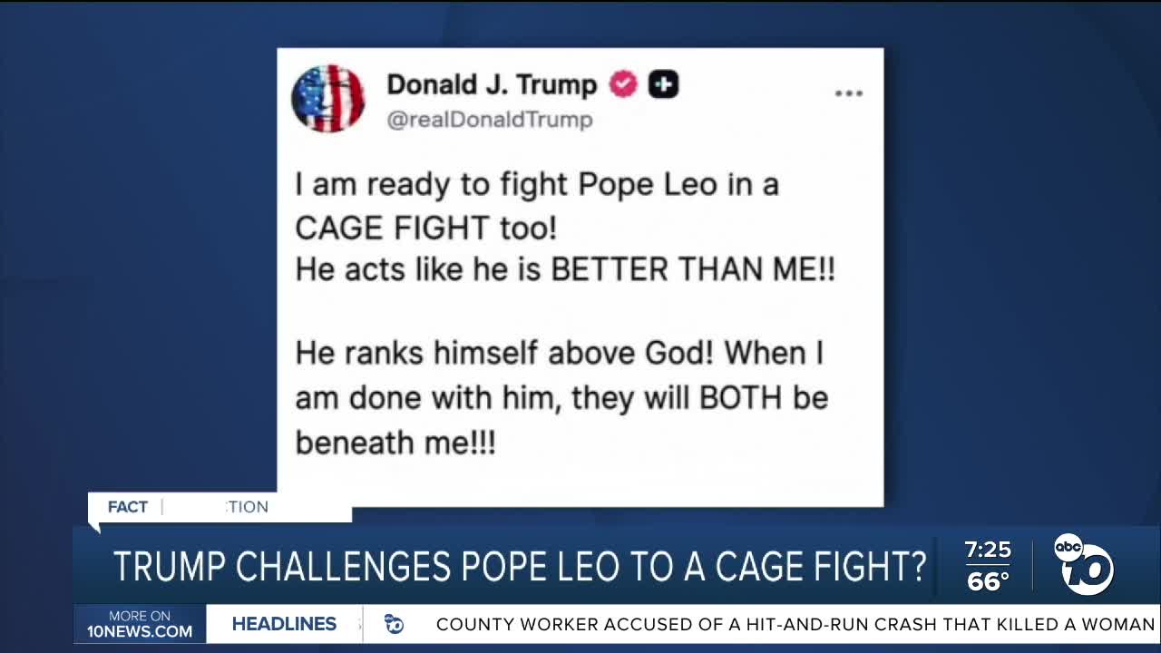 Fact or fiction: Trump wants to fight Pope Leo in cage match?