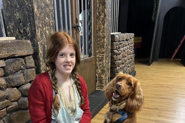 Cumbrian dog to take starring role in theatre production