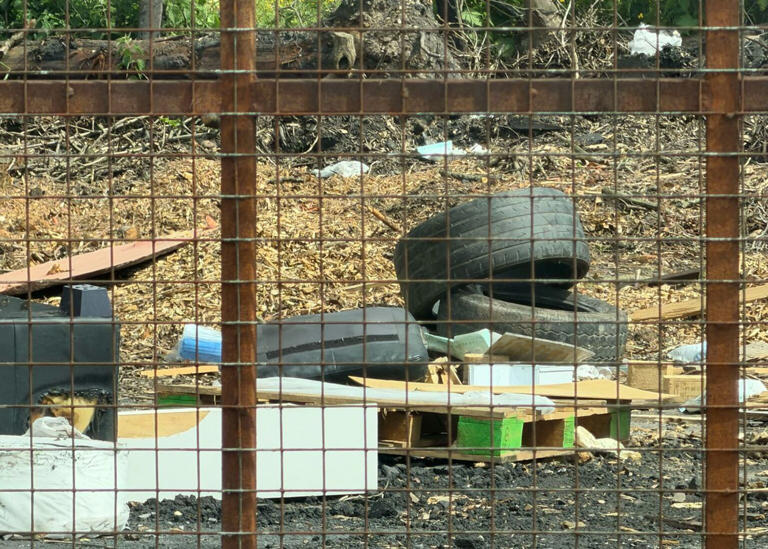 Call for toxic tyres to be removed from loyalist Eleventh Night bonfire