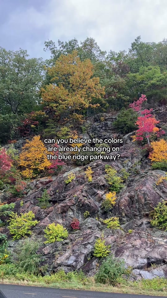 Fall colors are already appearing in the Blue Ridge Mountains