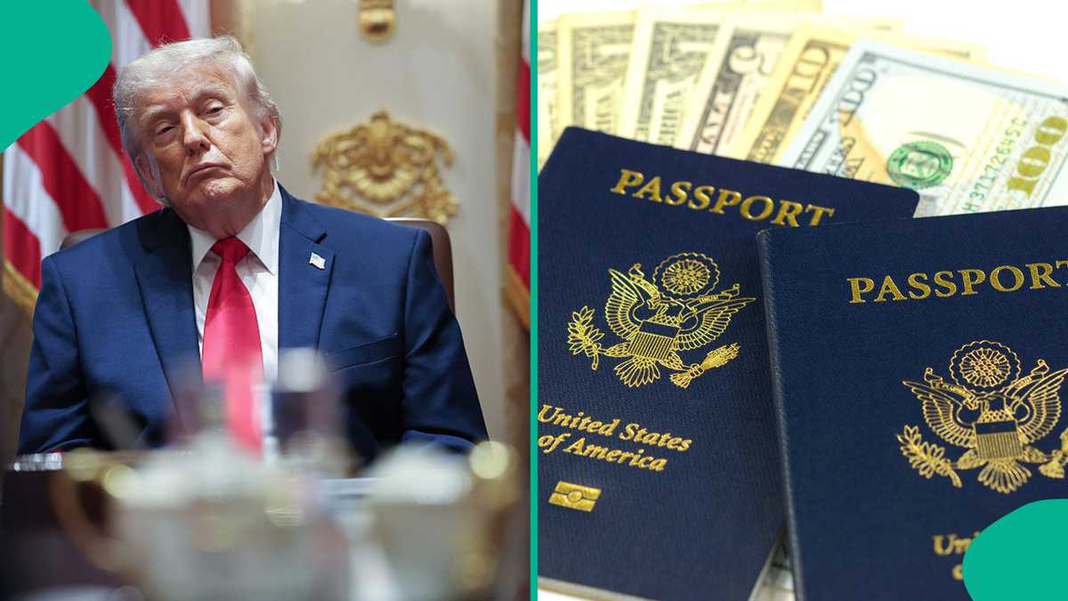 Full list of 20 African countries retaining US visa processing services