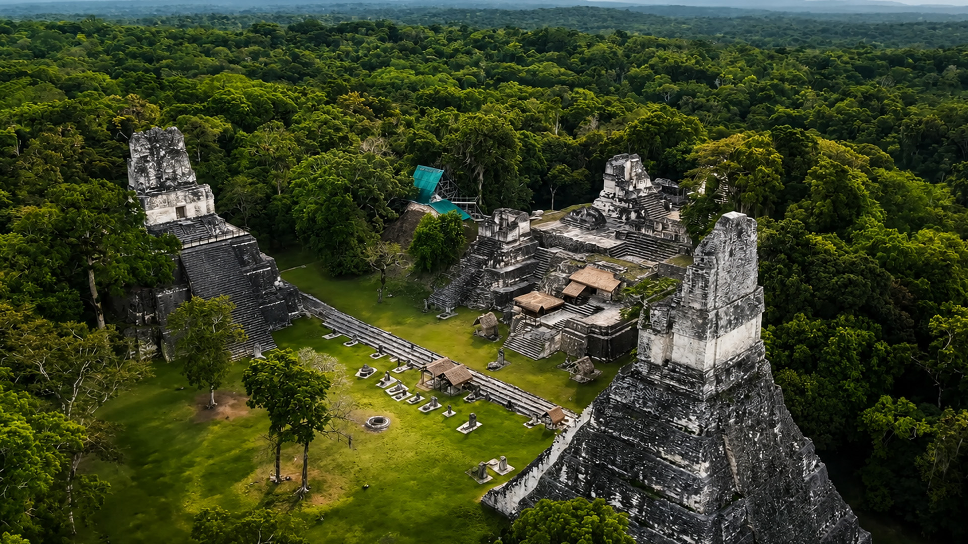 ¿Cómo construyeron los mayas ciudades monumentales en la selva tropical?