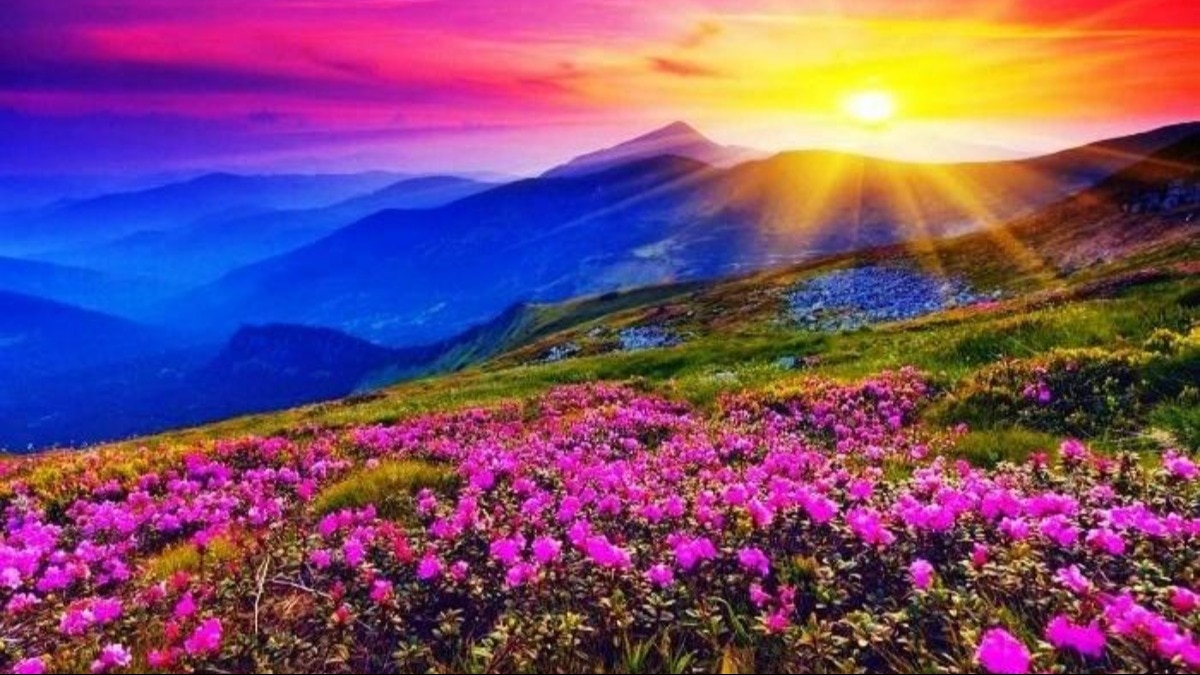 UNESCO's Valley of Flowers opens for visitors in Uttarakhand till ...