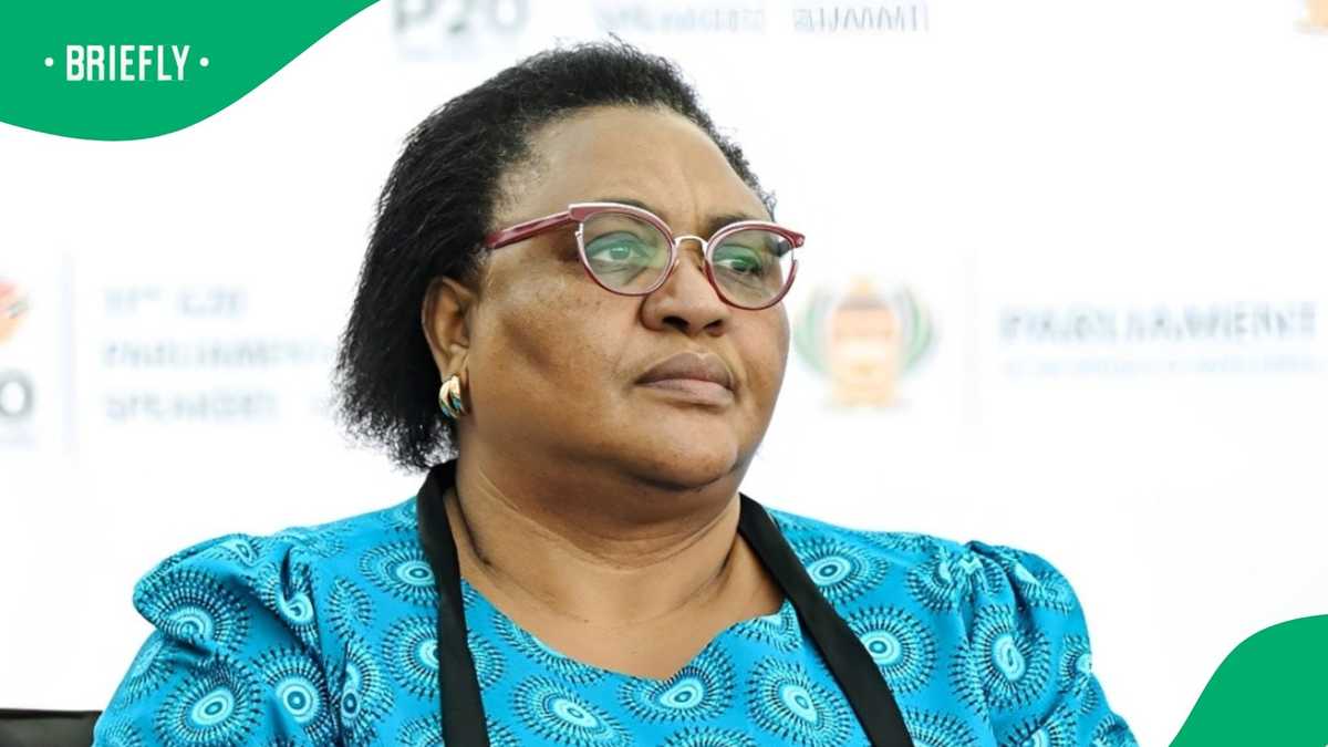 Opposition parties demand that Thoko Didiza recuse herself from ...