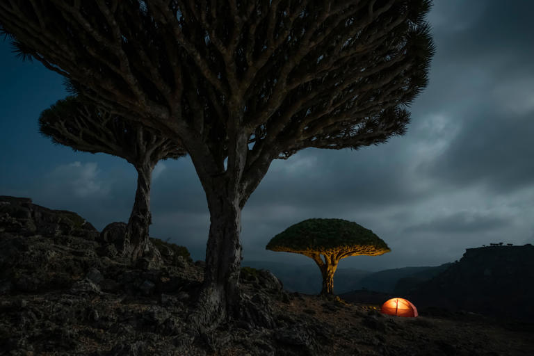Award-winning photographers all started somewhere – these are the 10 ...