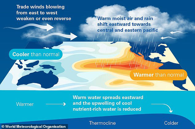 Super El Niño is on its way: There's now an 80% chance the climate ...