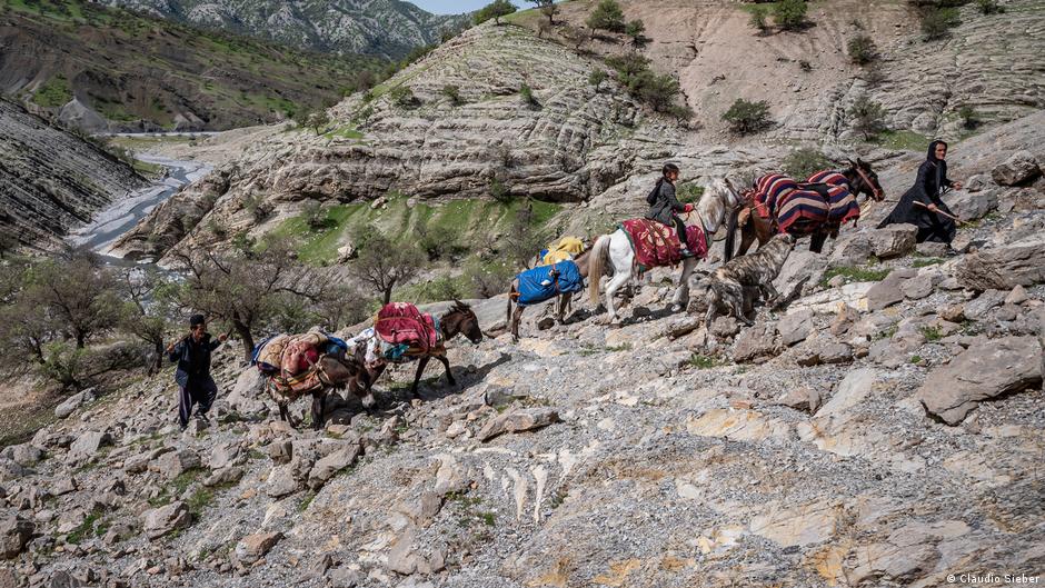 On the trail with Iran's last nomadic shepherds