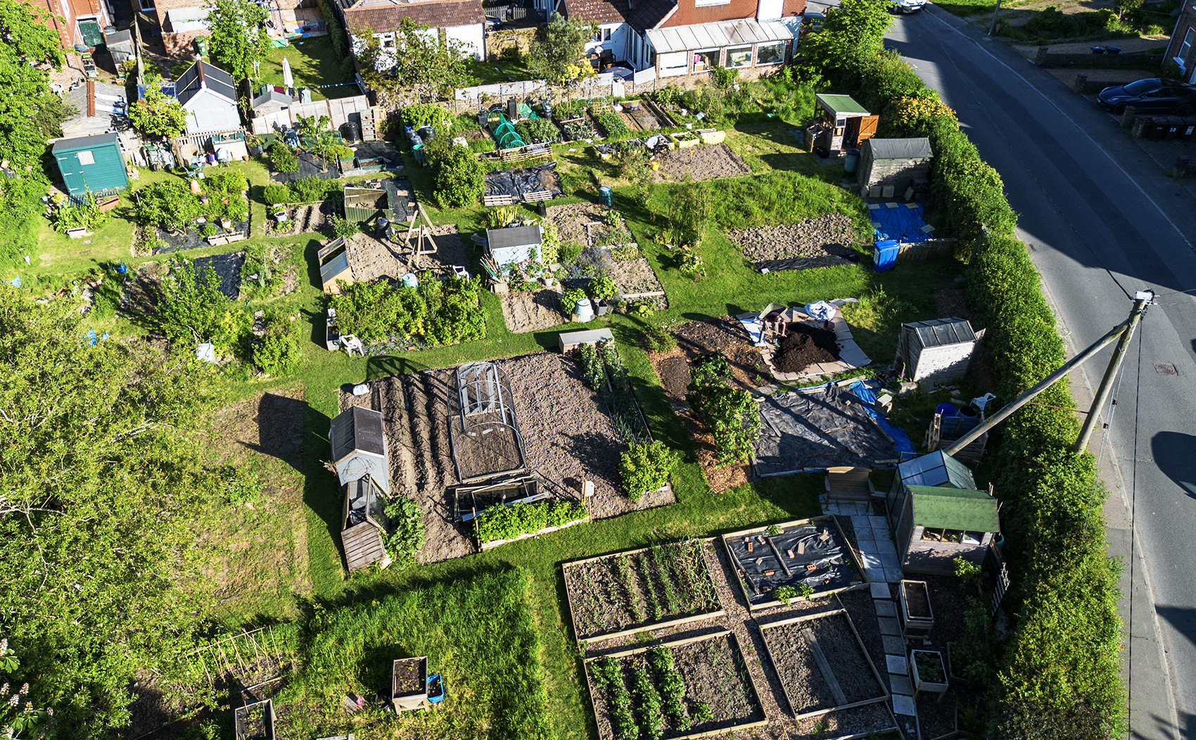 Deputy mayor to attend Hailsham Allotment Society open day