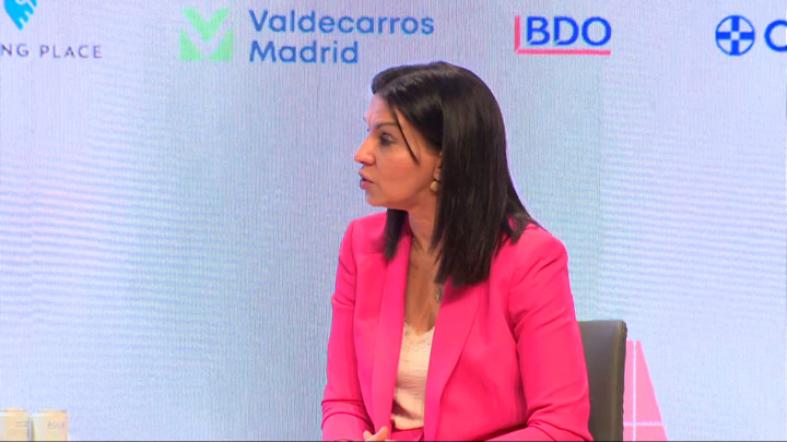 Zarzalejo cree que Madrid necesita una ley de universidades propia y ...